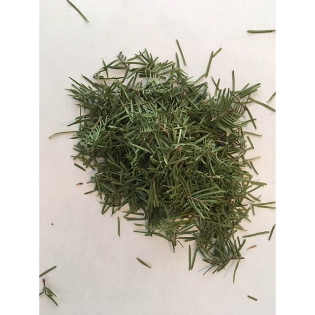 Balsam Fir – Kayo-Tea